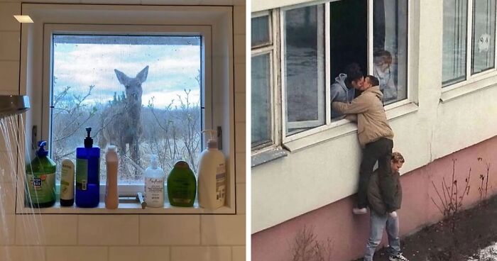 IG Account Posts Pics So Adorable, It’s Basically The Opposite Of Doom ...