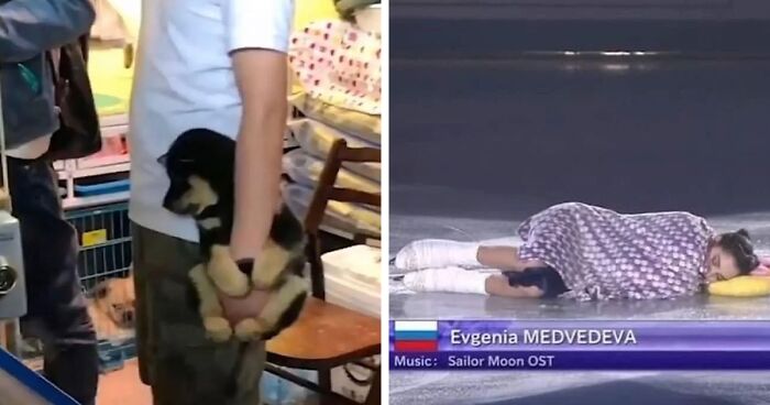 IG Account Posts Pics So Adorable, It’s Basically The Opposite Of Doom Scrolling (30 Pics ...