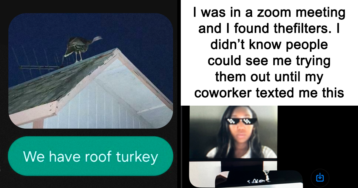 50 Of The Best Texts People Received Or Sent In 2024 | Bored Panda