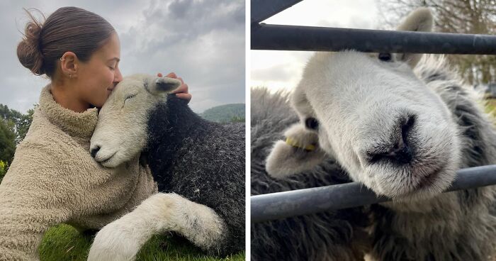 This Woman Shares A Very Different Side To Sheep That A Lot Of People ...