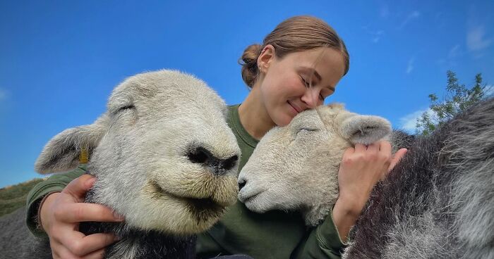 This Woman Shares A Very Different Side To Sheep That A Lot Of People ...