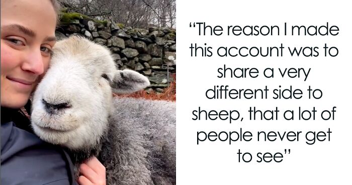 This Woman Shares A Very Different Side To Sheep That A Lot Of People ...