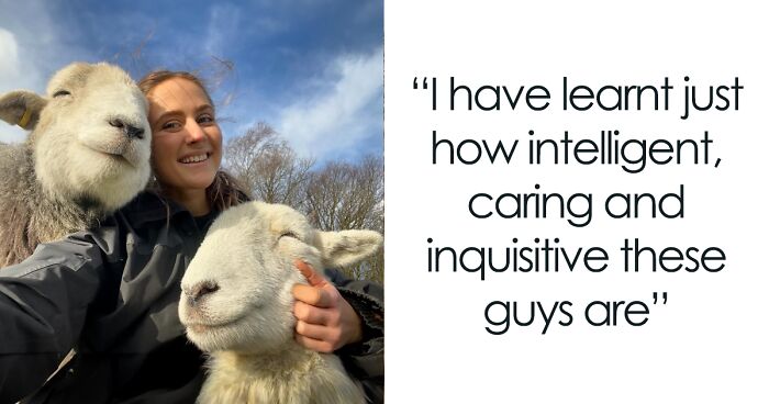 This Woman Shares A Very Different Side To Sheep That A Lot Of People ...