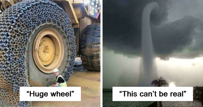 50 Photos Of Gigantic Things That Are Big “Nopes” For Anyone With ...