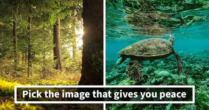 See How Others Perceive You: Answer These 20 Questions Honestly And You ...