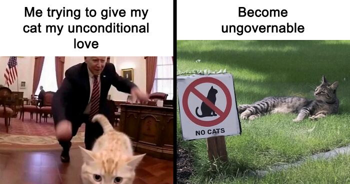 You Might Want To Stop Everything You’re Doing And Ogle At These 50 ...