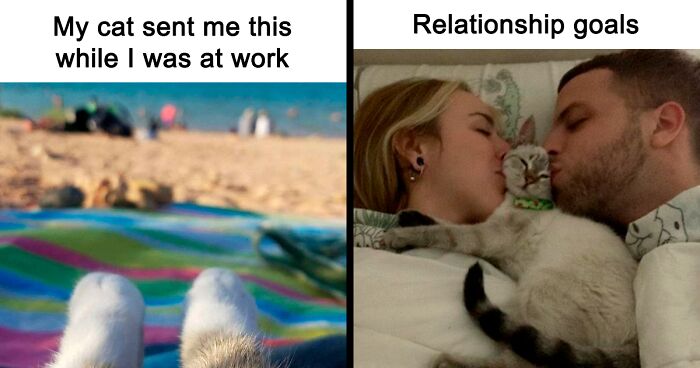 You Might Want To Stop Everything You’re Doing And Ogle At These 50 ...