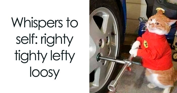 You Might Want To Stop Everything You’re Doing And Ogle At These 50 ...