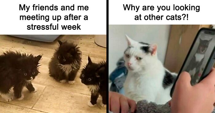 You Might Want To Stop Everything You’re Doing And Ogle At These 50 ...