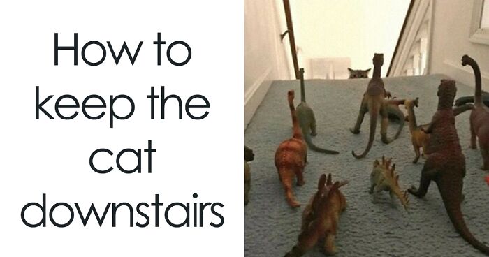 50 Funniest Dinosaur Memes For People With A Prehistoric Sense Of Humor ...