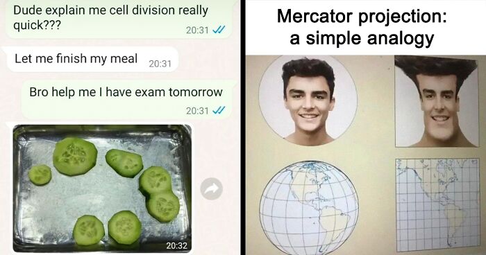 35 Scientifically Proven Memes For Those With An Intellectual Sense Of ...