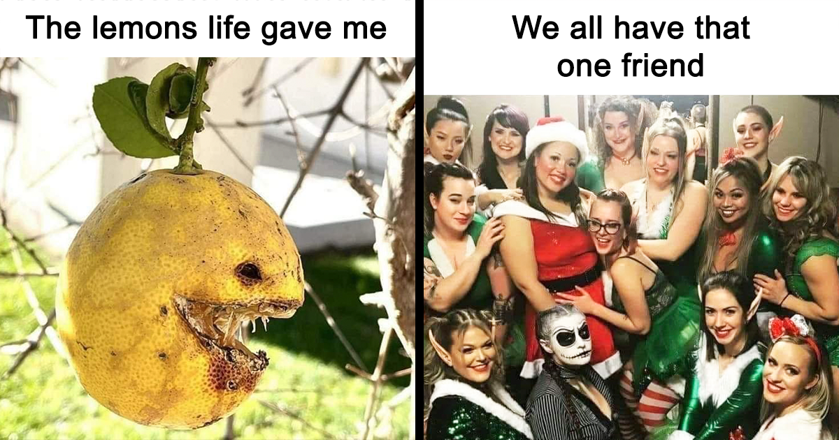 50 Memes Perfect For Anyone With A Spicy Brain | Bored Panda