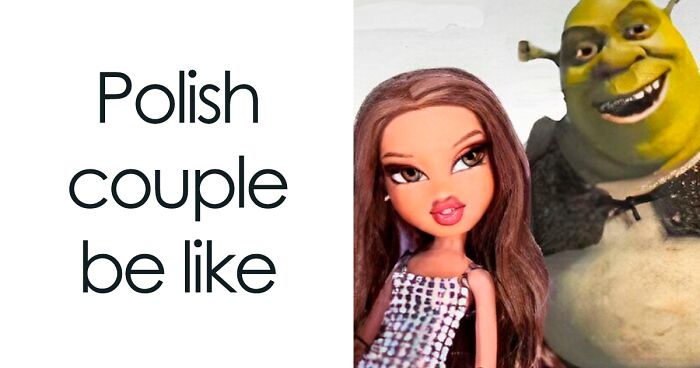 30 Funny Memes That Showcase Poland’s Unique Sense Of Humor | Bored Panda