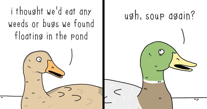 Funny New “They Can Talk” Comics By Jimmy Craig Show Animals With A ...