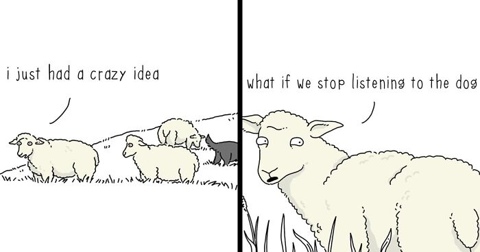 Funny New “They Can Talk” Comics By Jimmy Craig Show Animals With A ...