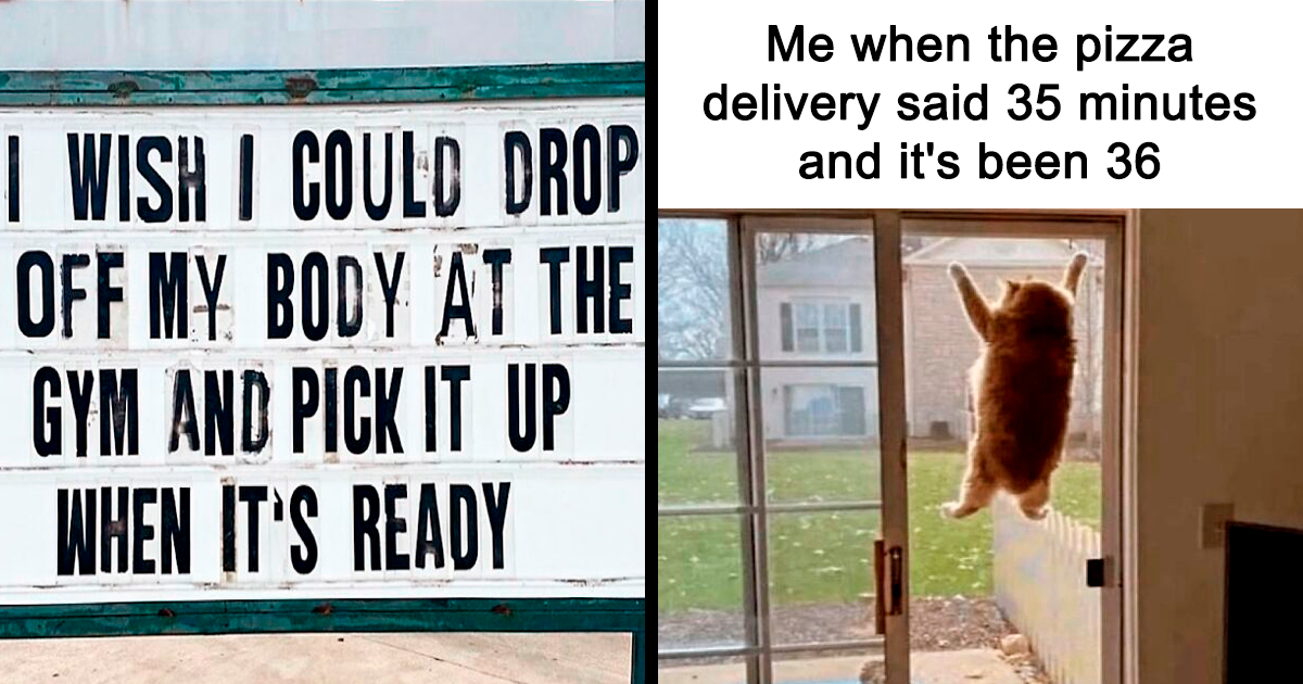 50 Hilarious Memes That Capture The Frustrations Of Dieting And Weight ...