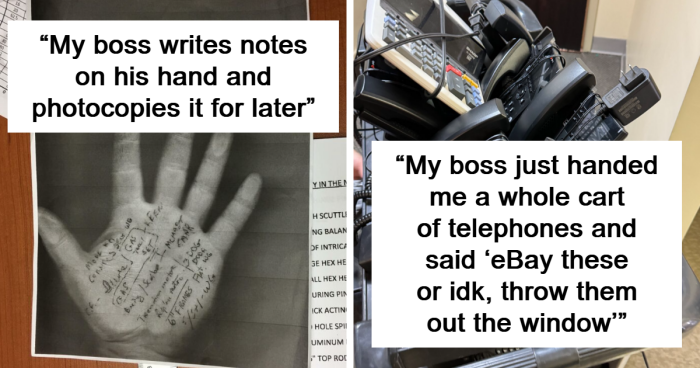 50 Wholesome And Funny Bosses Who Put Their Employees First (New Pics ...