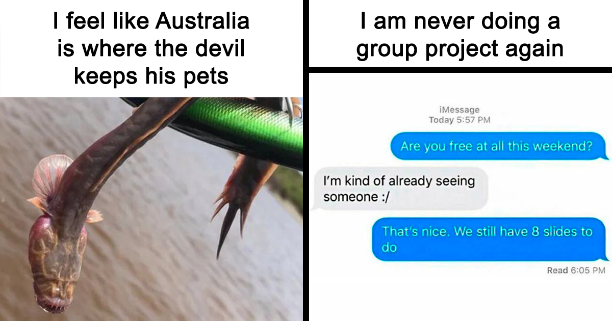 50 Memes To Distract You From Whatever You Were Supposed To Be Doing ...