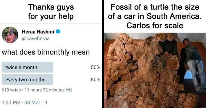 40 Hilarious ‘Science Memes’ That Do Not Require A PhD (New Pics ...