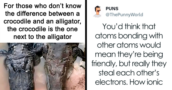 40 Hilarious ‘Science Memes’ That Do Not Require A PhD (New Pics ...