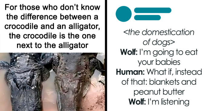 40 Hilarious ‘Science Memes’ That Do Not Require A PhD (New Pics ...