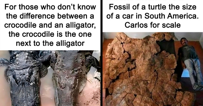 40 Hilarious ‘Science Memes’ That Do Not Require A PhD (New Pics ...