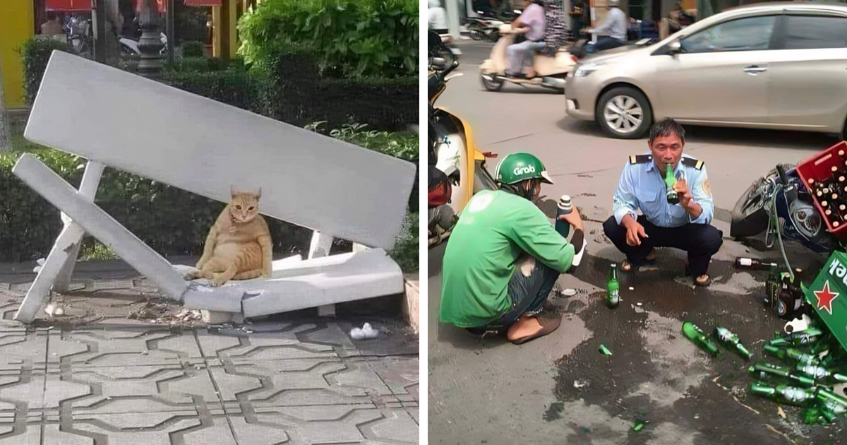 30 Weird Photos Shared By “Images That Could Be Album Covers” (New Pics ...