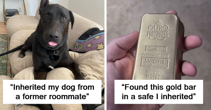 50 People Share The Coolest Inheritance They’ve Received (New Pics ...