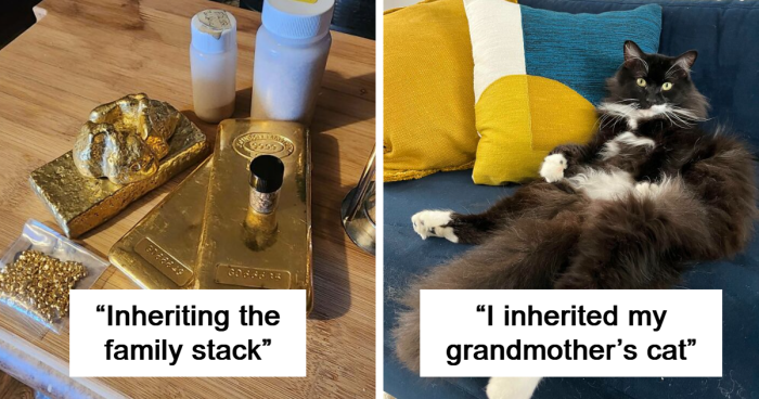 50 People Share The Coolest Inheritance They’ve Received (New Pics ...