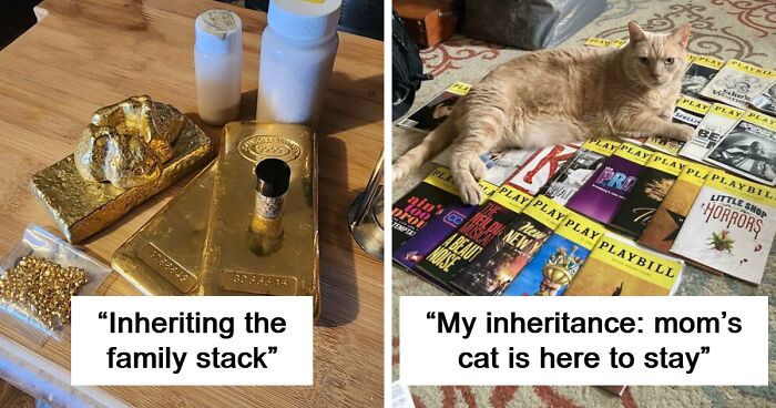 50 People Share The Coolest Inheritance They’ve Received (New Pics ...