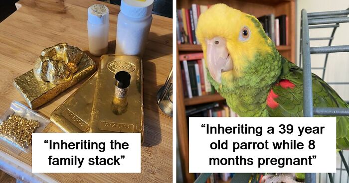 50 People Share The Coolest Inheritance They’ve Received (New Pics ...