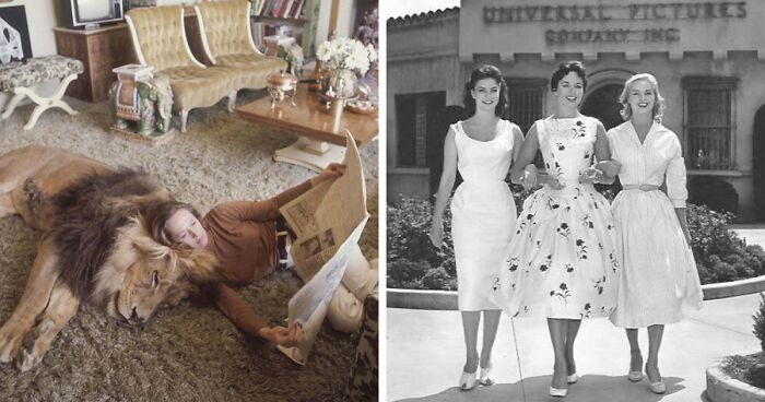 30 “Historical Capsule” Posts That Might Make You Feel Like You’ve ...