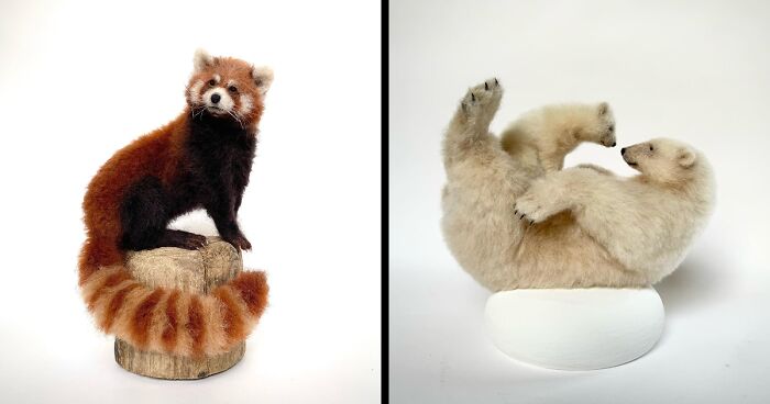 From A Playful Dog To A Wise Owl, This Artist’s Needle-Felted Animals ...