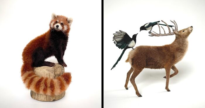 From A Playful Dog To A Wise Owl, This Artist’s Needle-Felted Animals ...