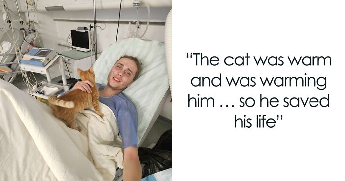 Little Kitten Named Peach Saved Trapped Man’s Life During Harsh ...