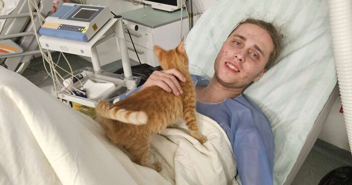 Little Kitten Named Peach Saved Trapped Man’s Life During Harsh ...