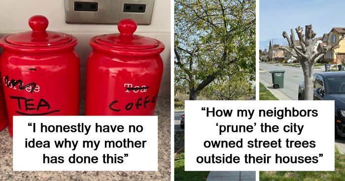“I Thought I Was Lazy”: 50 People Who Took Laziness To Infuriating ...