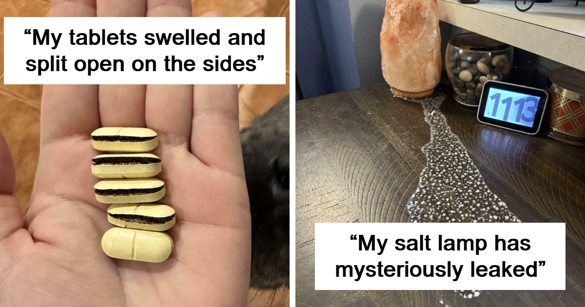 50 Times People Saw Something ‘Mildly Interesting’ And Knew The Best ...