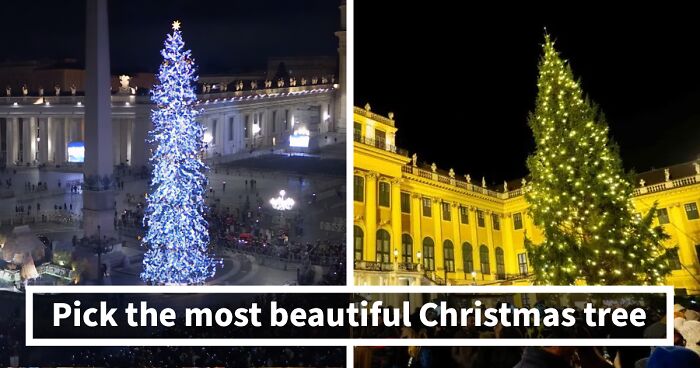 30 Christmas Trees From 30 Cities Around The Globe: Vote And Choose The ...