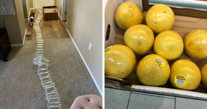 50 Times Product Packaging Was So Wrong It Had To Be Shamed In This ...