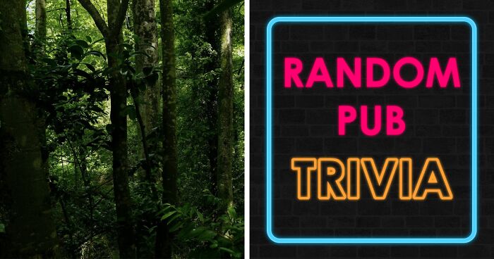 Random Pub Trivia: See Which Prize You Would Get Depending On How Well ...