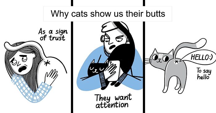 20 Relatable Comics Showing Life In Ukraine During The War By Yulia Vus