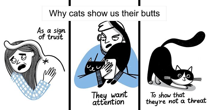 20 Relatable Comics Showing Life In Ukraine During The War By Yulia Vus