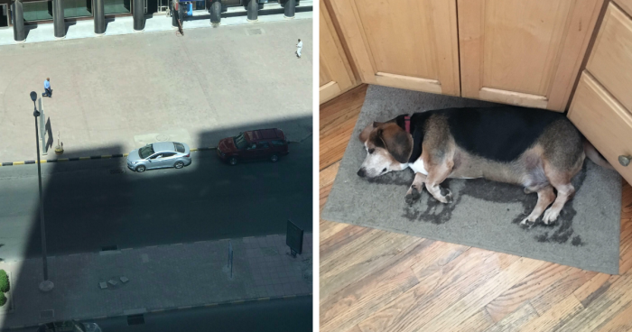 50 Times Random Things Just Fit Perfectly Together And It Was Very ...