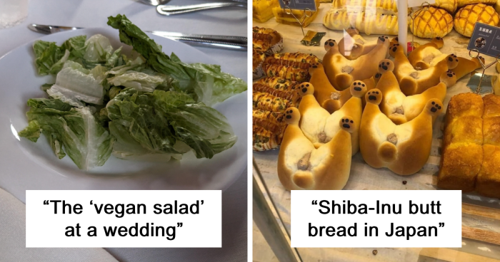 This Online Group Shames Dishes That Are Just Stupid And Here Are 30 Of ...