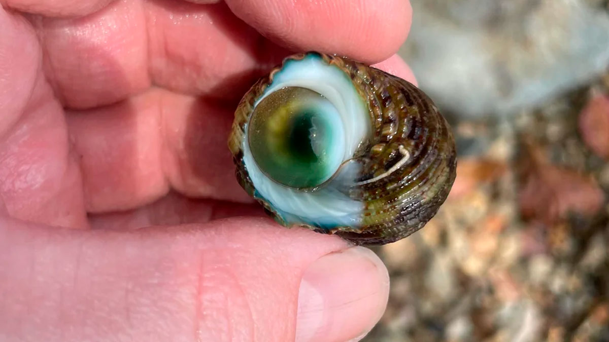 45 Terrifying Times Nature Stopped People In Their Tracks (New Pics ...