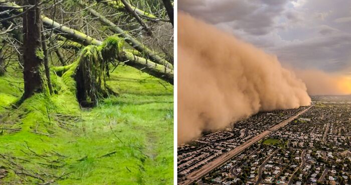45 Terrifying Times Nature Stopped People In Their Tracks (New Pics)