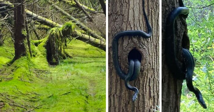 45 Terrifying Times Nature Stopped People In Their Tracks (New Pics)