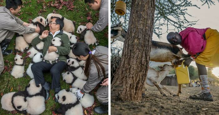 This Photographer Lived In Mud Huts, Wore A Panda Suit, And Changed How ...
