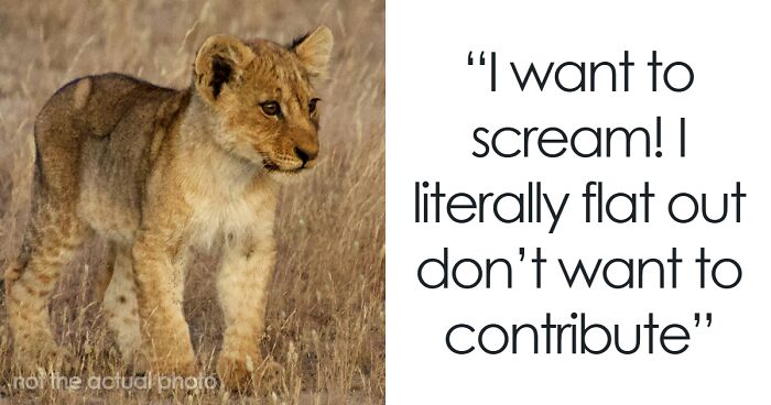 Mom Sets Up Fundraiser For Daughter’s Trip To Africa, Gets Agitated ...